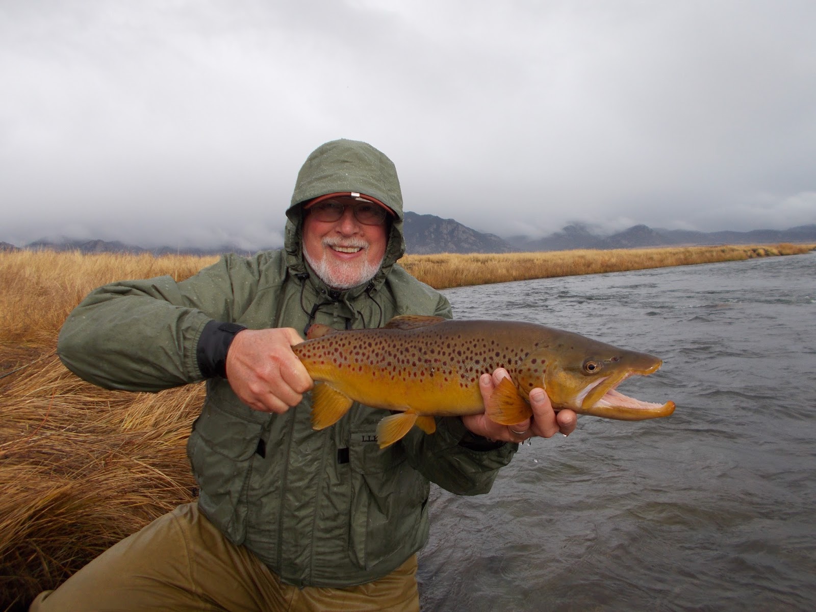 Addictive Angling Colorado: Book Your Trophy Brown Trout Trip!