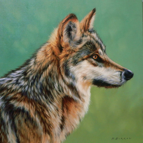White Wolf : Authentic native american and wildlife paintings of Heléne ...