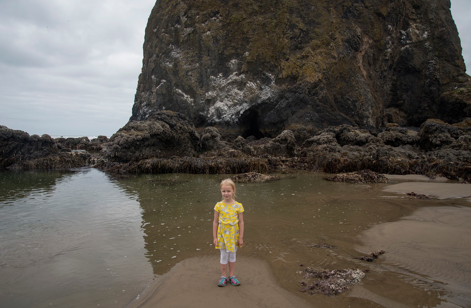 Oregon Coast Tide Pools at Hug Point and Cannon Beach - light-in-leaves