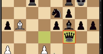 Chess Village: Cheating in Online Chess