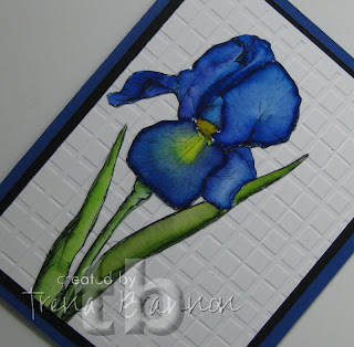 Trena's Stampin' Headquarters: New Sheena Florals!