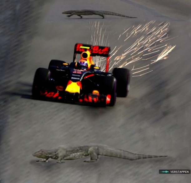 Interesting Green: Monitor lizard invades F1 race track, startles Red ...