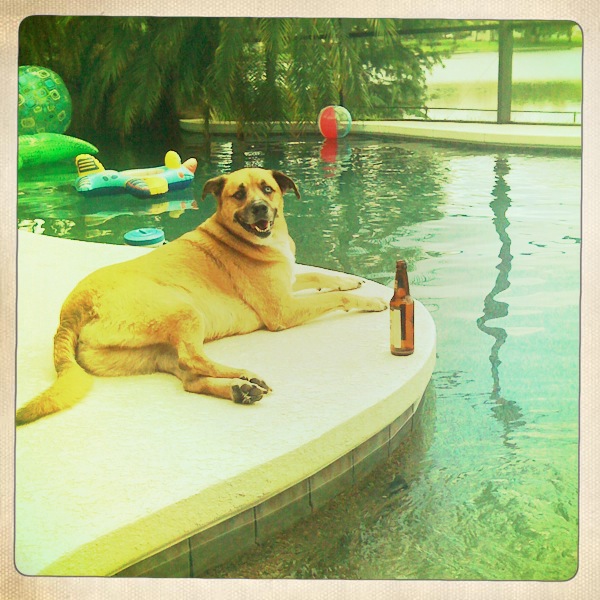 once a cupcake, always a cupcake