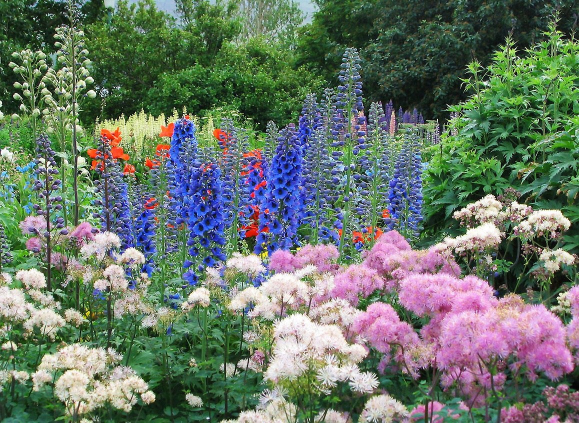 Ultima Thule: 20140615