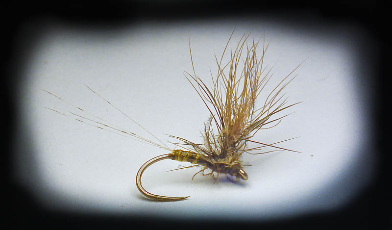 The African Fly Angler: A Mayfly imitation