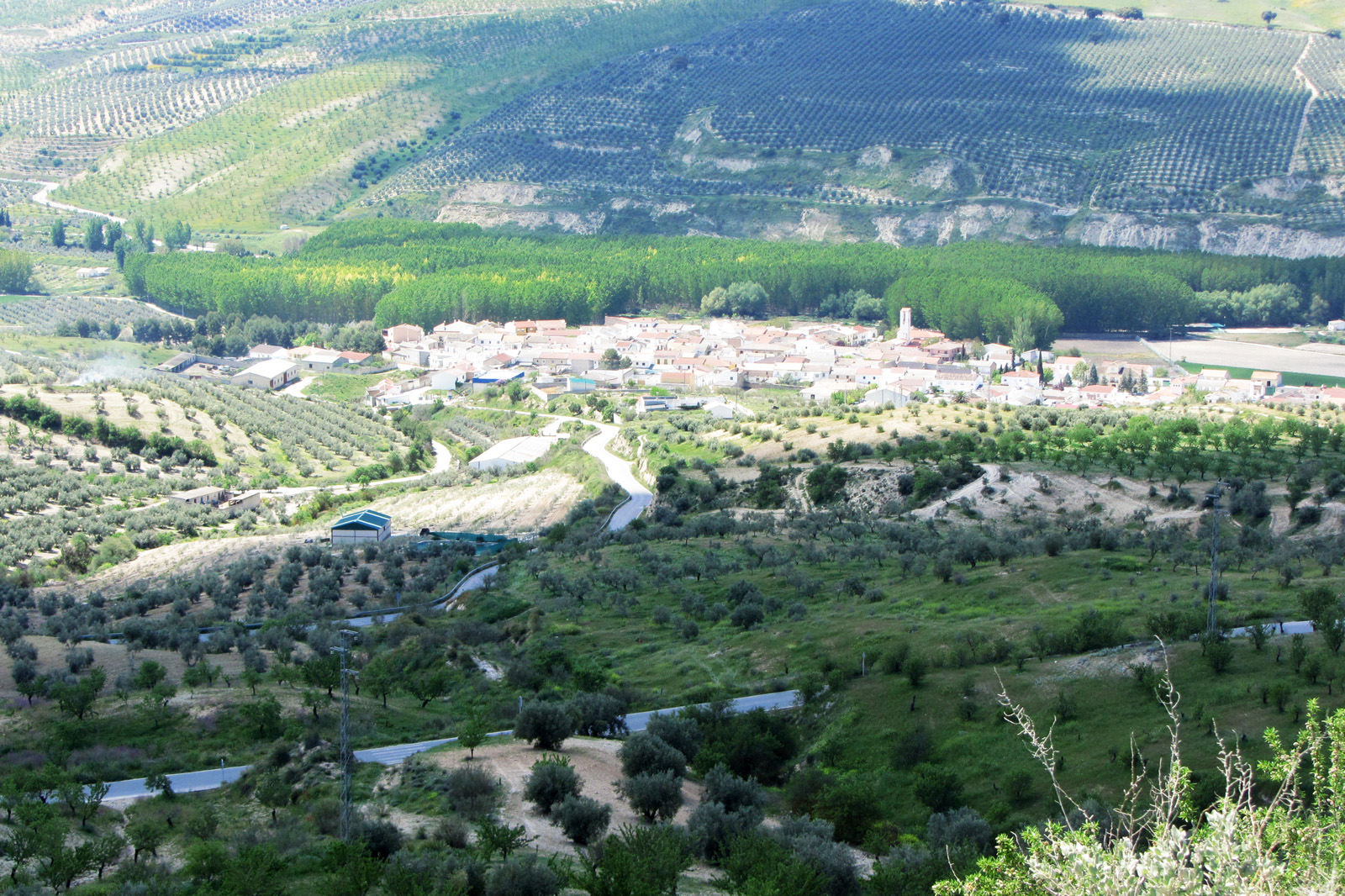 Caminando por Sierras y Calles de Andalucía: Cacín, un tramo del río: I ...