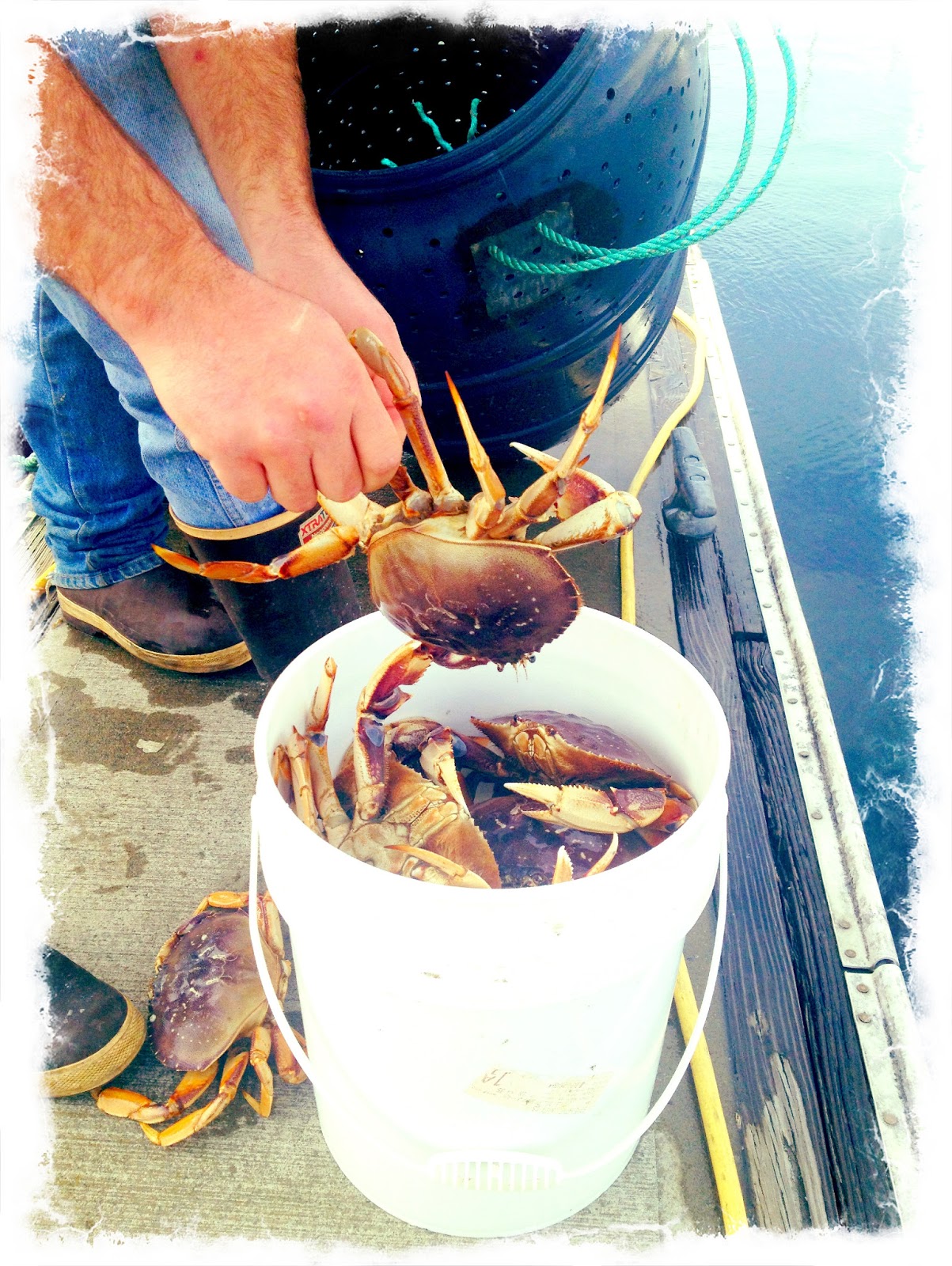 The Post Ranch Kitchen: Fresh Seafood