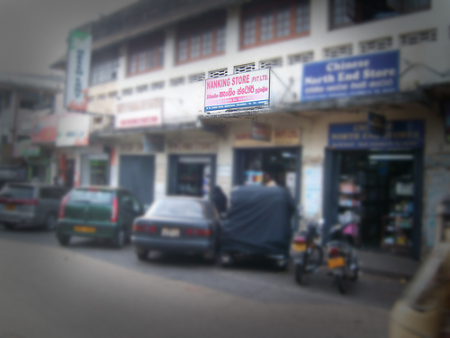 Literature blogging project :): The Nanking Store