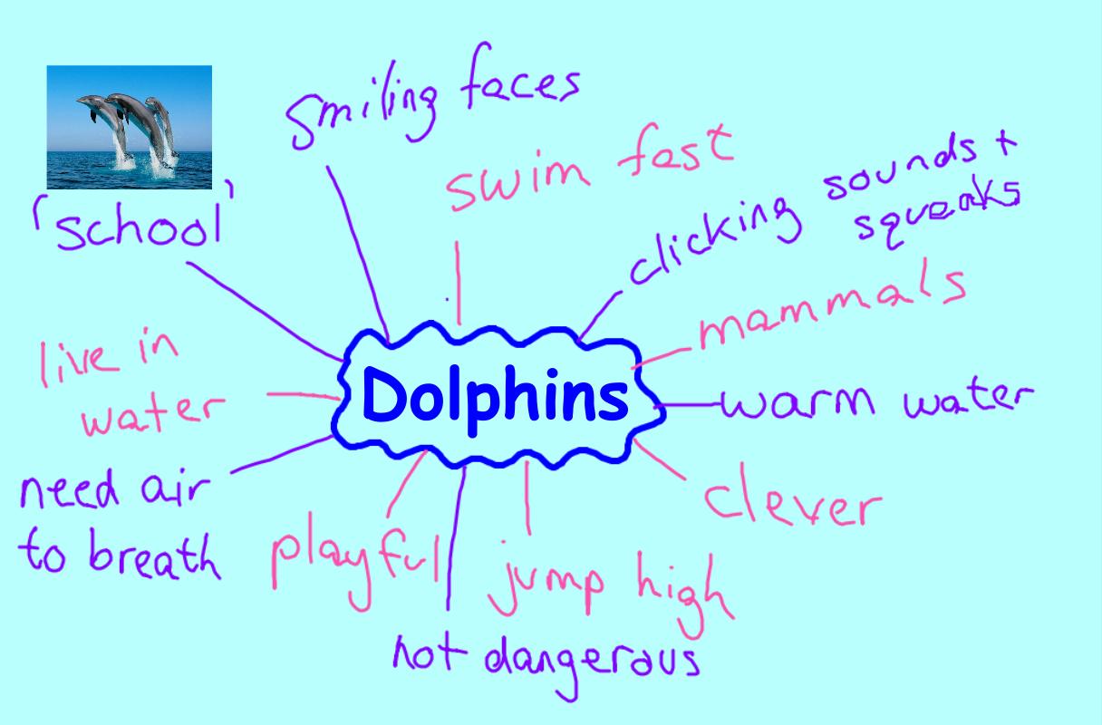 Miss Sarah's Class: English