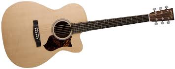 Macam-macam Gitar (Jenis-jenis gitar) ~ Belajar Gitar dari pemula ...