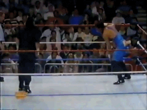 ProWresBlog: WWF Superstars of Wrestling 10/16/1993 - 123 Kid vs Pat Tanaka