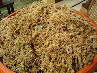 Mengenal Macam-Macam Media Tanam (2) ~ PANCHIDS FLORA