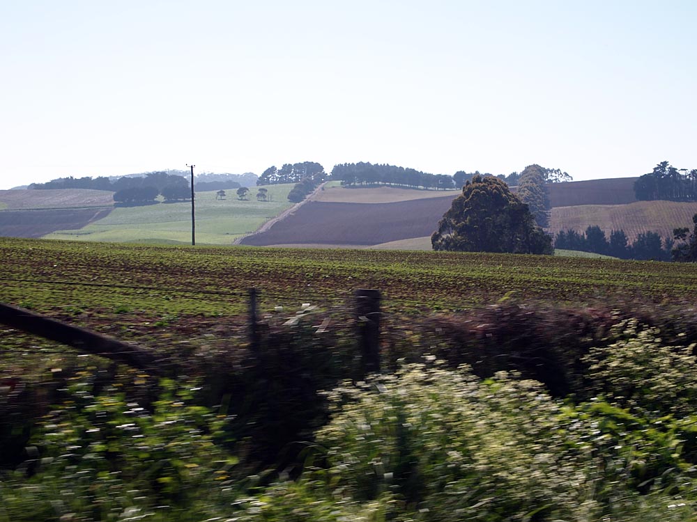 Dennis Argall: Colours of Tasmania