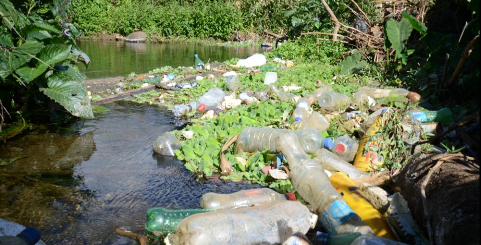 Maurice | defense patrimoine reunion974's Blog