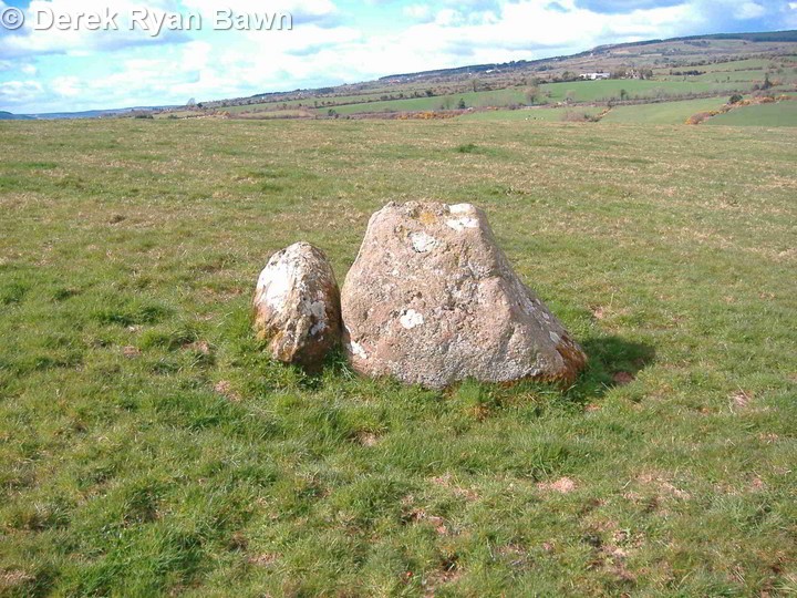 The Tipperary Antiquarian: Cappadine Standing Stone