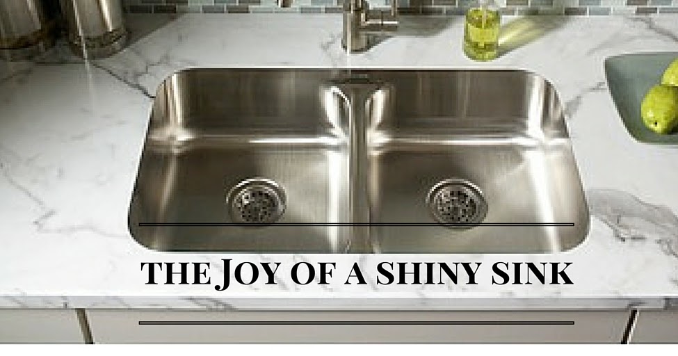 The Joy of a Shiny Sink - Your Devoted Friend