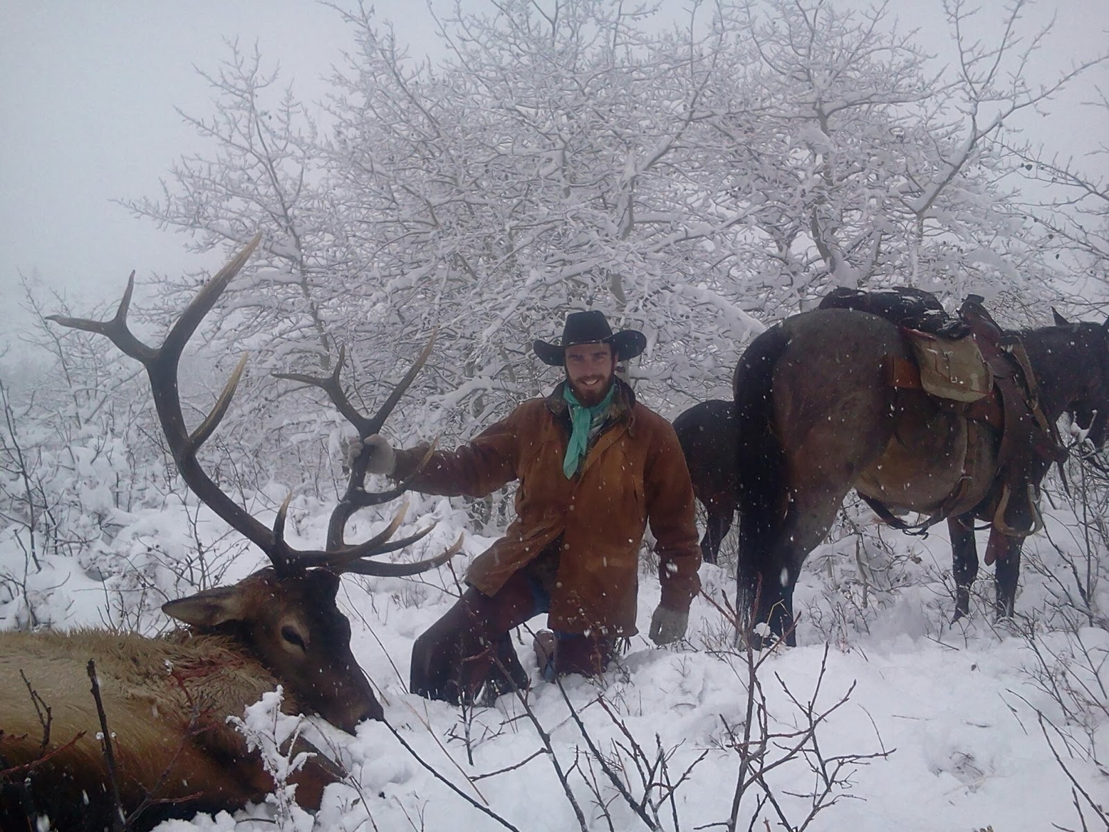 Idaho Pursuit: 6 Point Bull Elk
