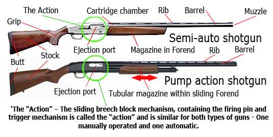Electrical Page: Shotgun Mechanism