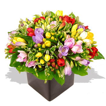 La multi ani! - AnotherSide Of Me