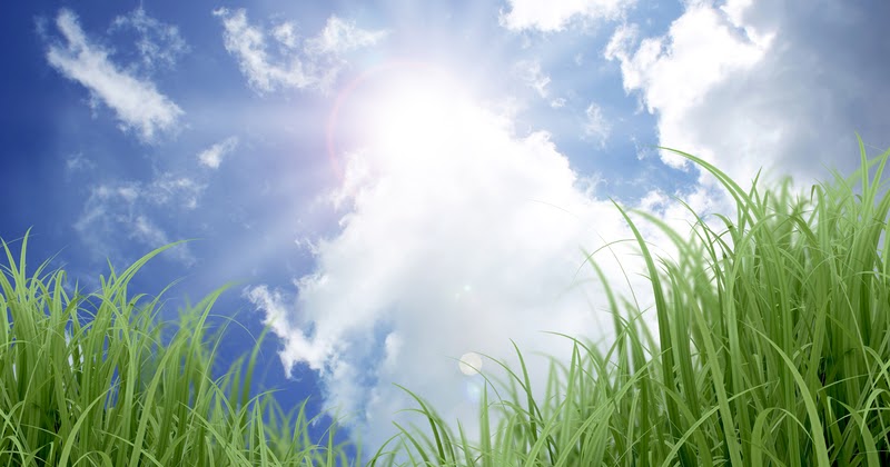 Freedom Focused: A Portrait of a Fully Flourished Age of Authenticism