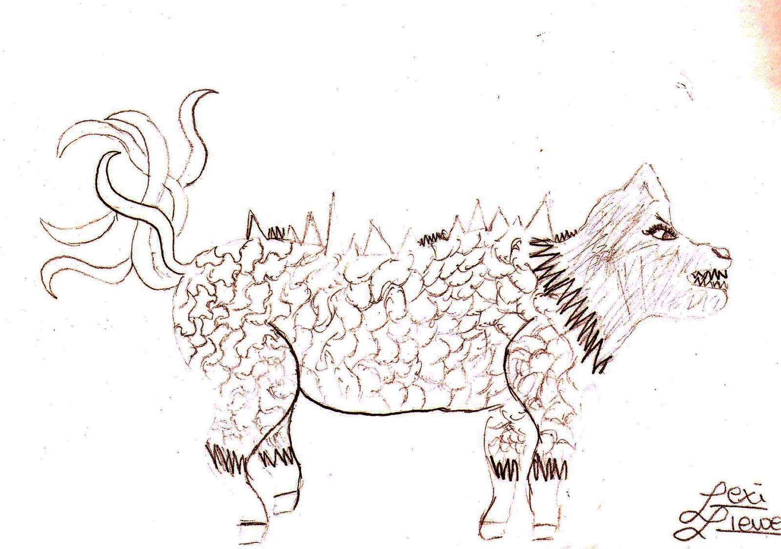 Norwich Public Art: Imaginary Animal Drawings