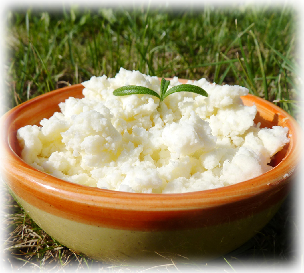 Todo sobre quesos - Mundoquesos: Slovenská Bryndza