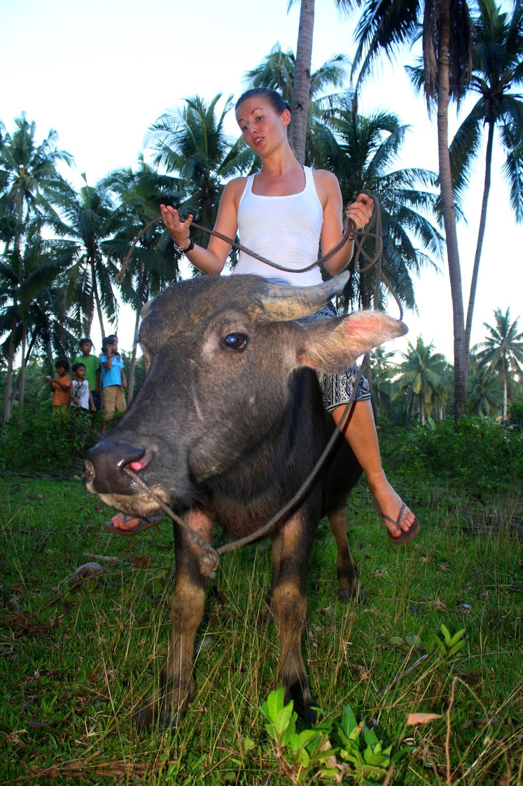 Carabao riding!