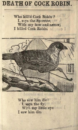 The Study: The Fabled Folklore of the Robin Redbreast