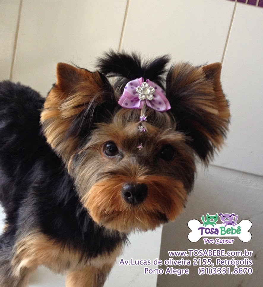 TOSA BEBÊ - TOSA VERÃO - TOSA TESOURA -TOSA PORTO ALEGRE: TOSA BEBÊ ...