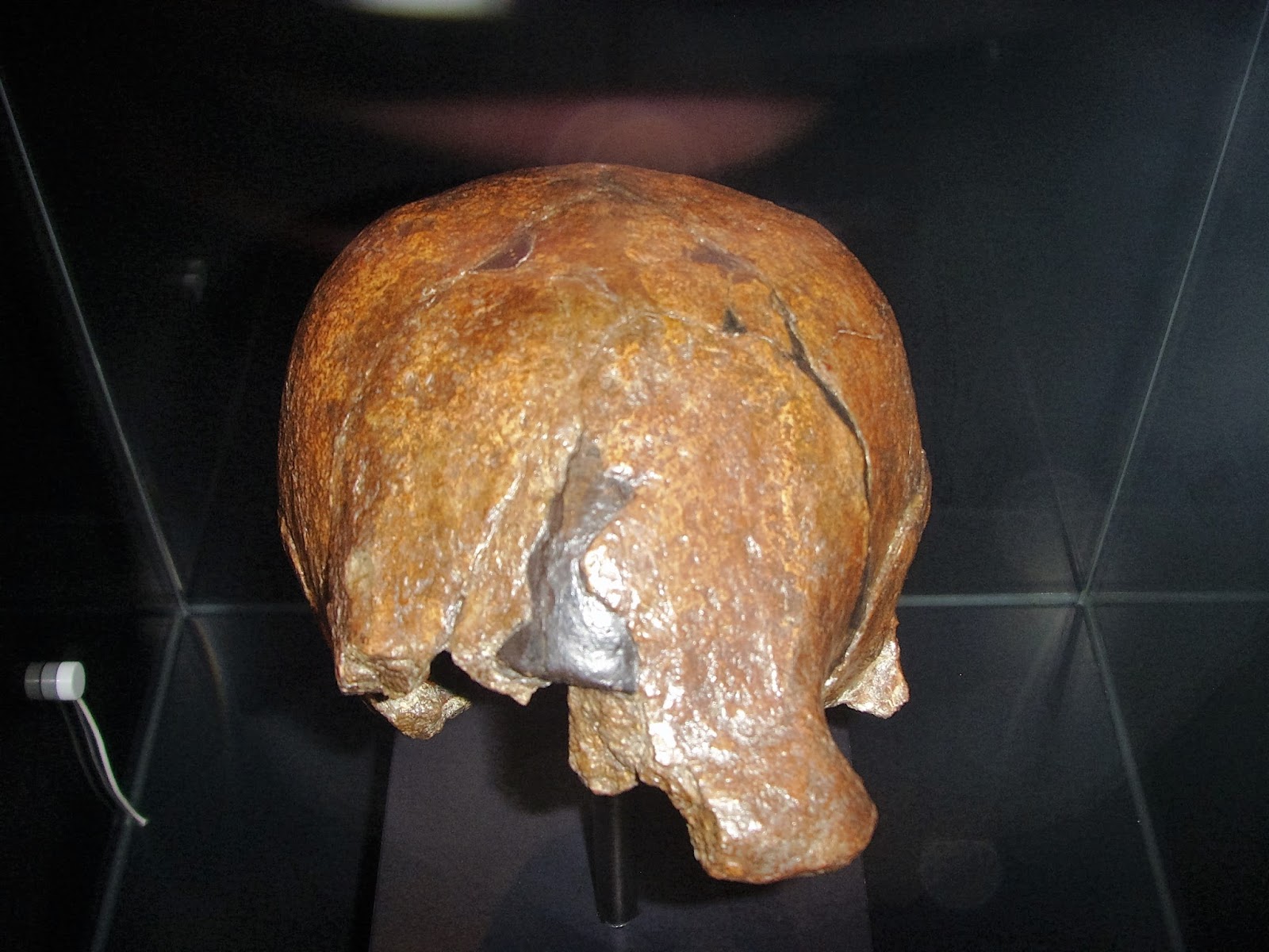 5-five-5: Sangiran Early Man Site (Sangiran - Indonesia)