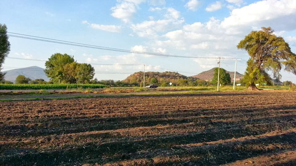 Gervacio Mendoza: Fotografías de Gervacio Mendoza (6fotos) octubre 2013 ...