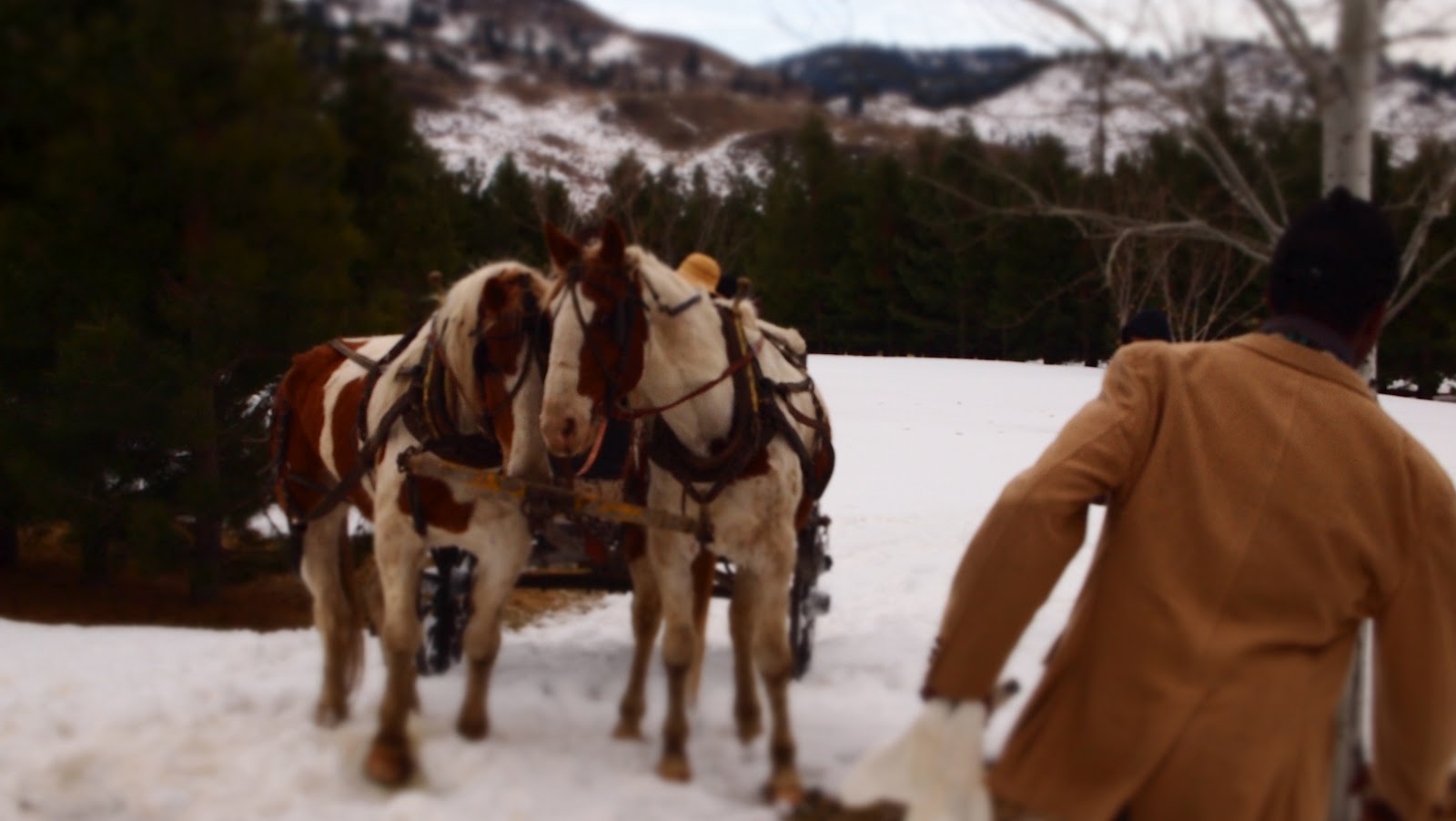 Emily Galash: The dream of the 1890's is alive in Winthrop