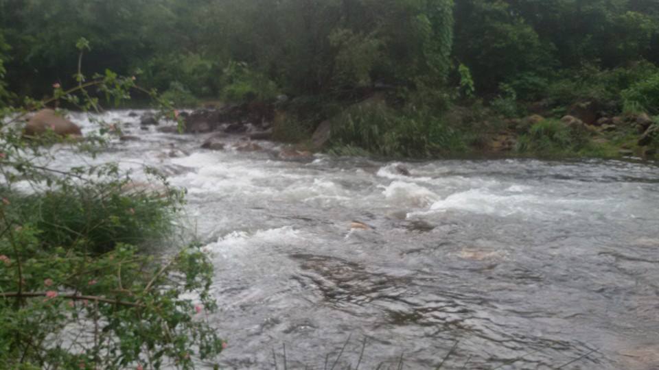 Kadayam Village Nature Stills