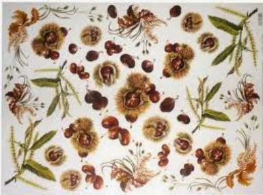 decoupage paper ~ origami instructions art and craft ideas