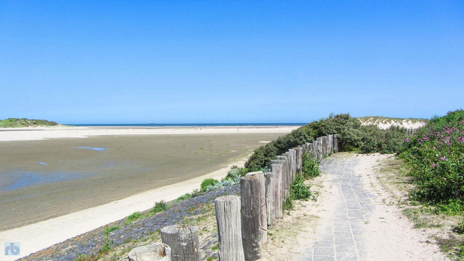 Mes escapades........: Le Zwin