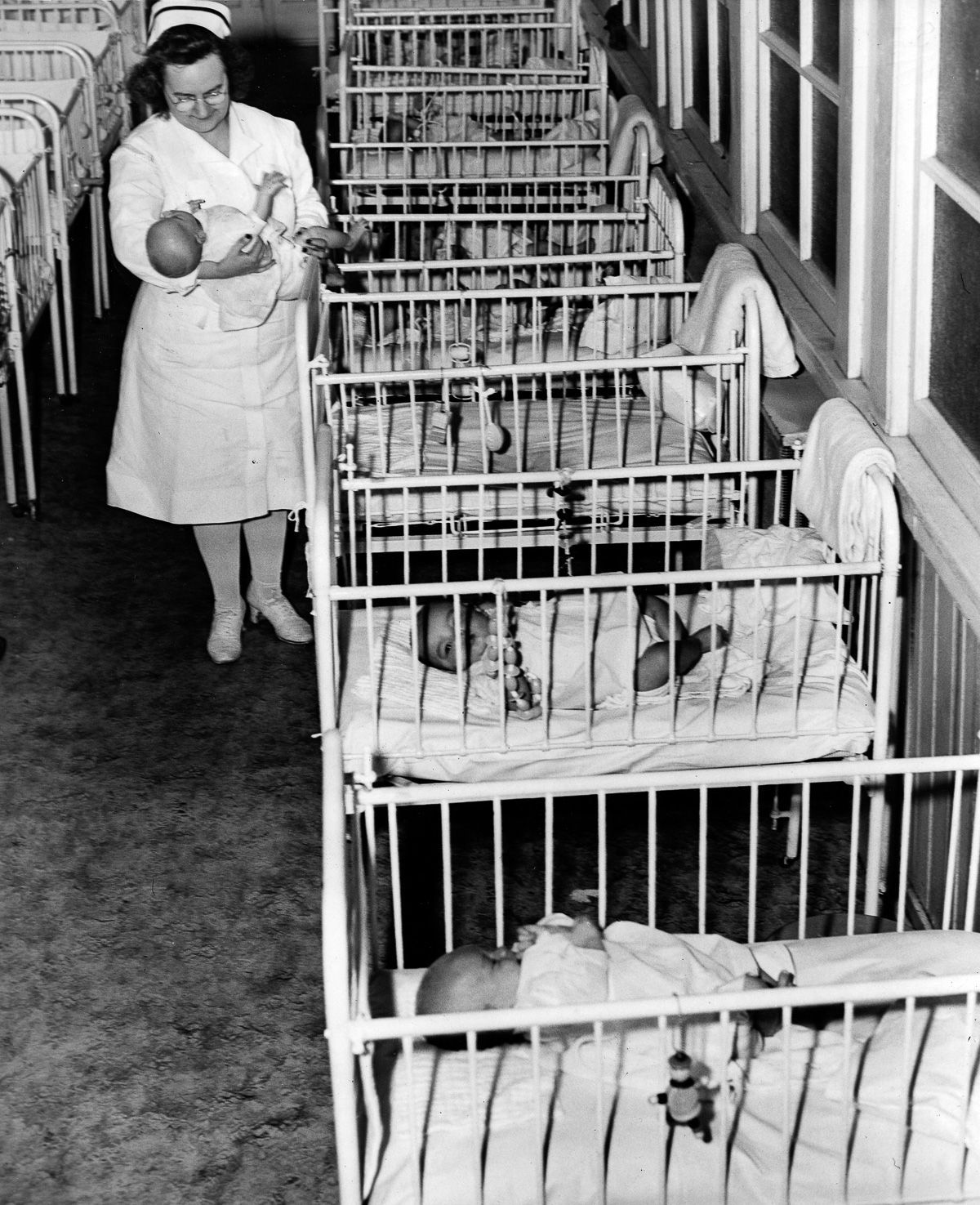 Baby Boom During The Fifties