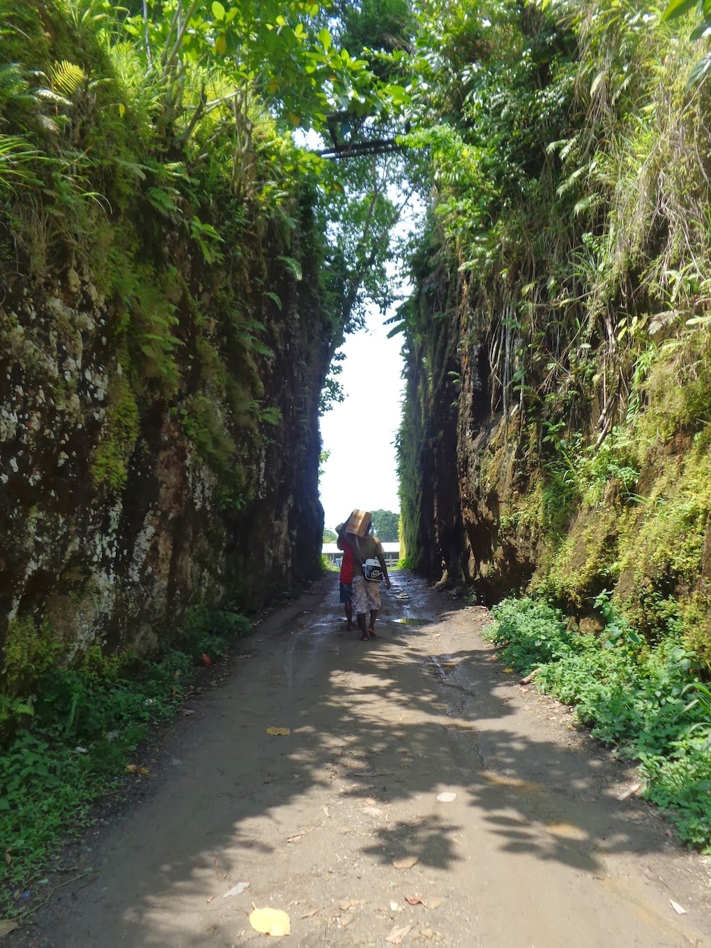 No direction home ... a complete unknown ... like a rolling luggager ...