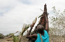 Sabor a Moda Angolana: Bebidas Angolanas