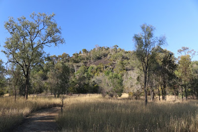 National Park Odyssey: Mount Scoria Conservation Park, Thangool, QLD.