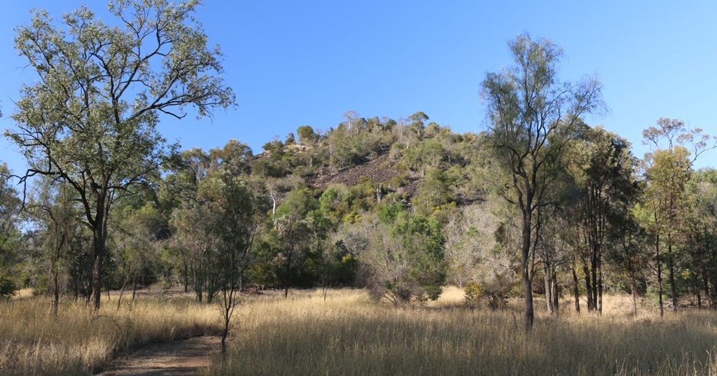 National Park Odyssey: Mount Scoria Conservation Park, Thangool, QLD.