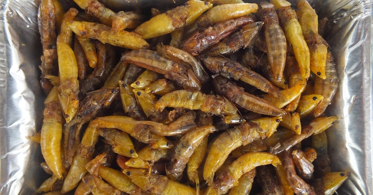 I love Kagera: Senene