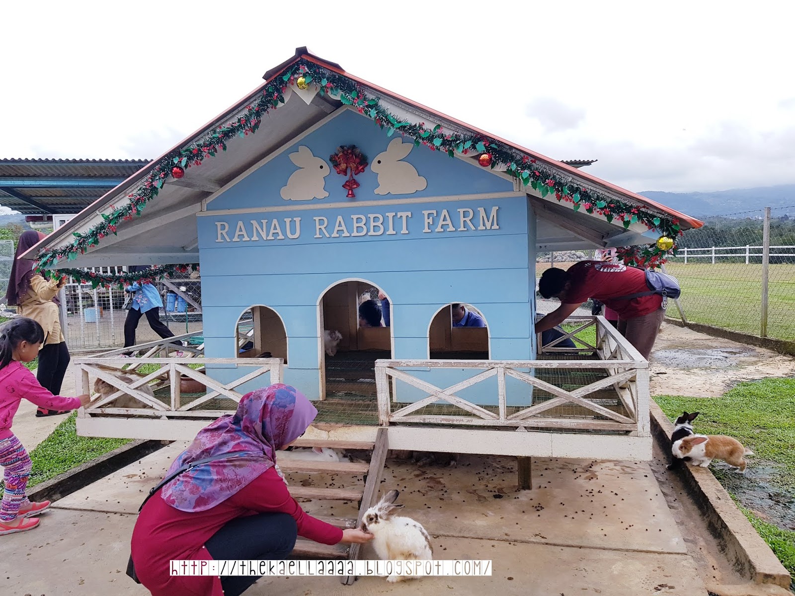 Ranau Rabbit Farm