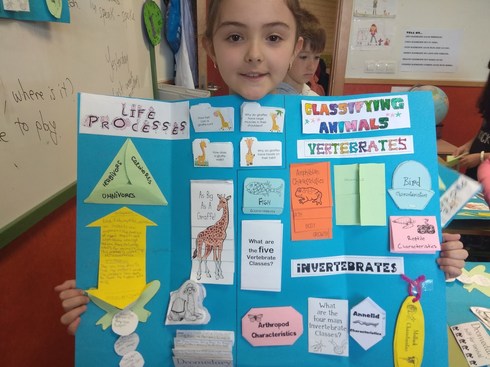 ENGLISH: 3rd B SCIENCE LAPBOOK FINISHED!