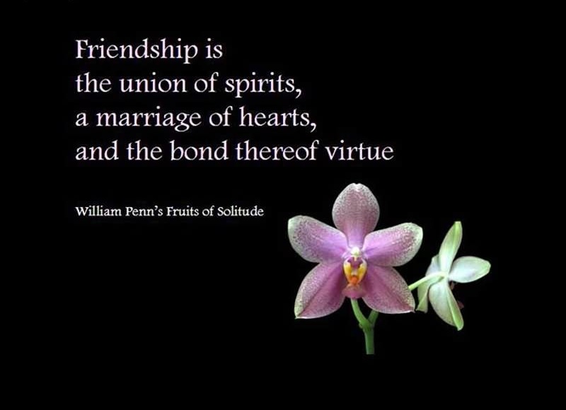 LA Quaker The Meaning Of Friendship la-quaker-the-meaning-of-friendship
