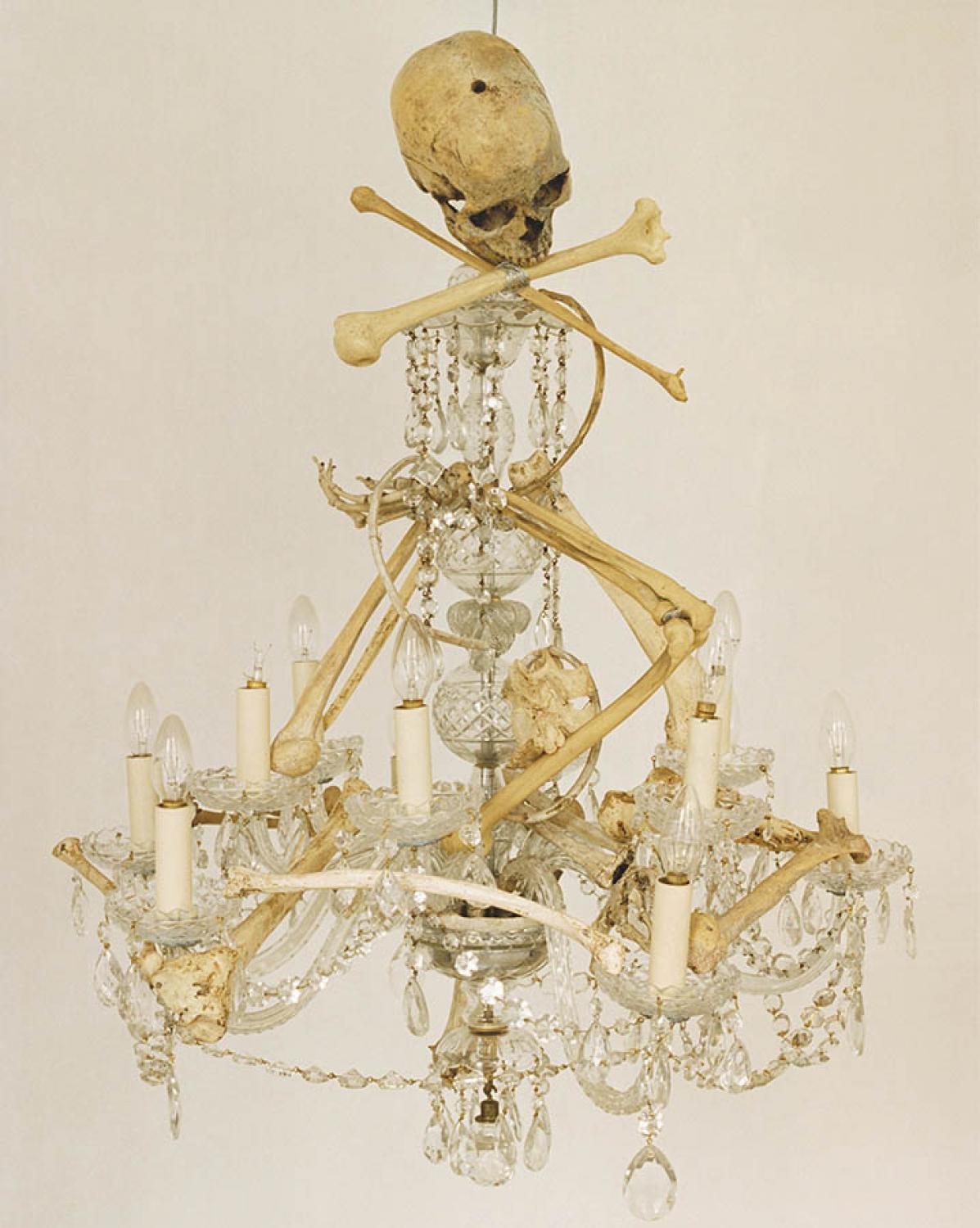 Los Grandes Fotografos: Tim Walker (1970)