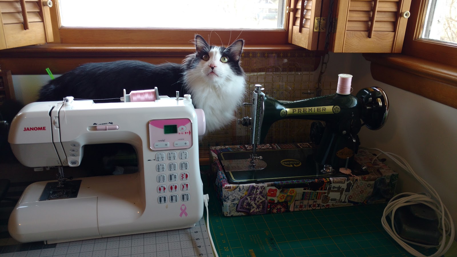 Missy's Homemaking Adventures: Singer 15 Japanese "Clones"