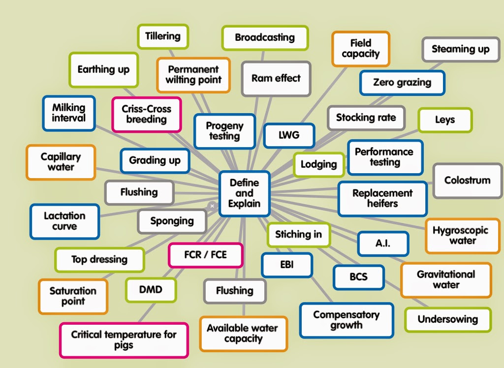 Magh Ag Sci: Exam revision - Keywords