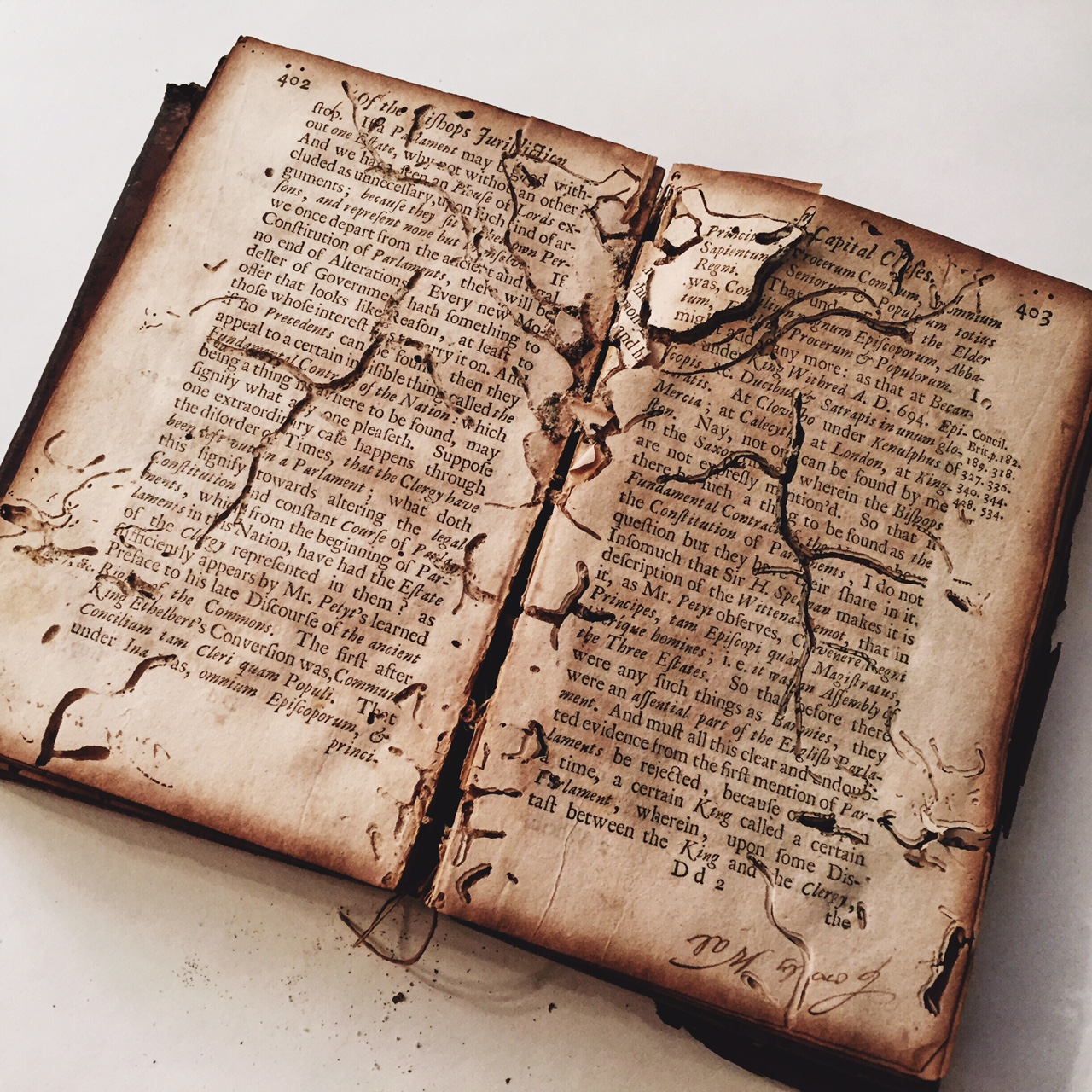 Tracking the Hand: The Francis and Lilly Robicsek Collection at Belmont ...