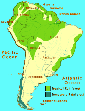 Amazon Rainforest Map
