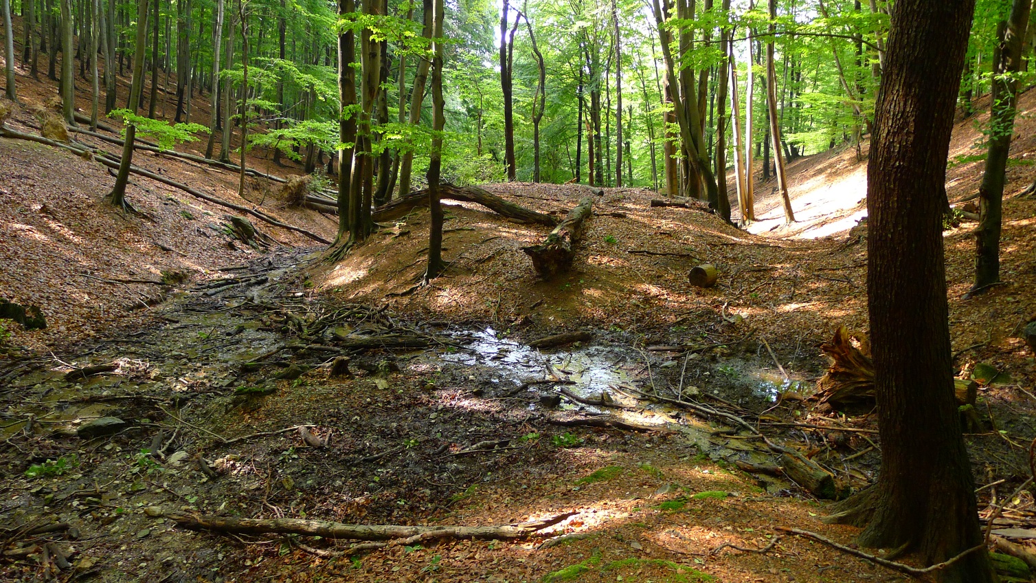 Podzemie Malých Karpát a okolia: Tribeč - Velčice Horné štôlne
